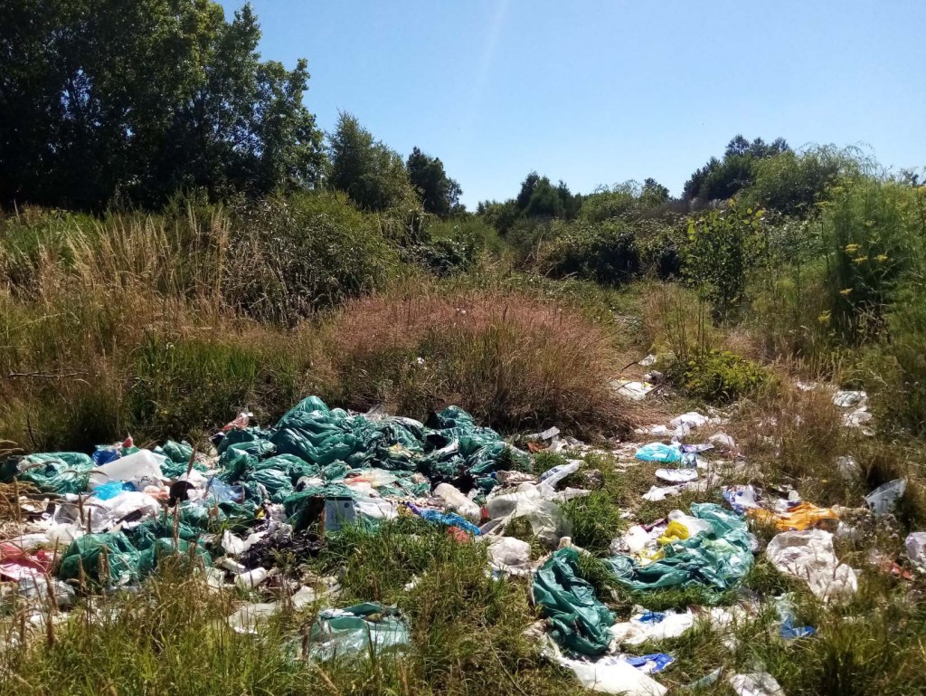 Desafíos del diseño y la planificación de espacios públicos de borde ...