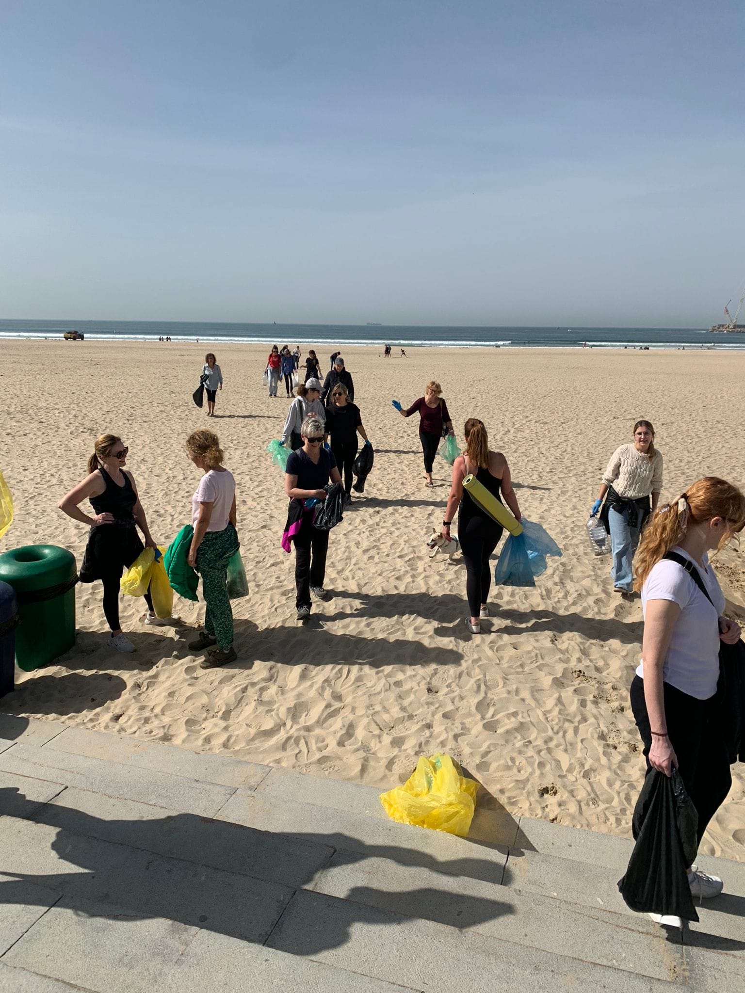 CIIMAR, a Research Center in the Heart of Matosinhos and the Port of ...