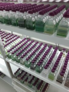 CIIMAR, a Research Center in the Heart of Matosinhos and the Port of ...