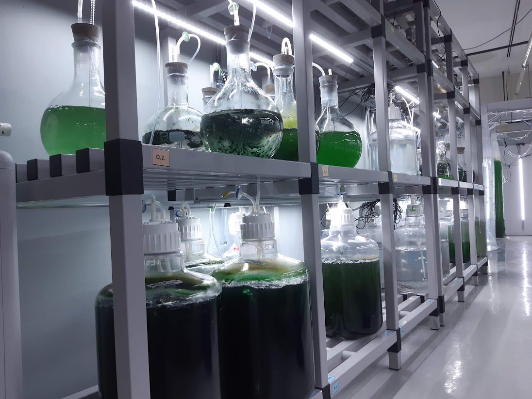 CIIMAR, a Research Center in the Heart of Matosinhos and the Port of ...