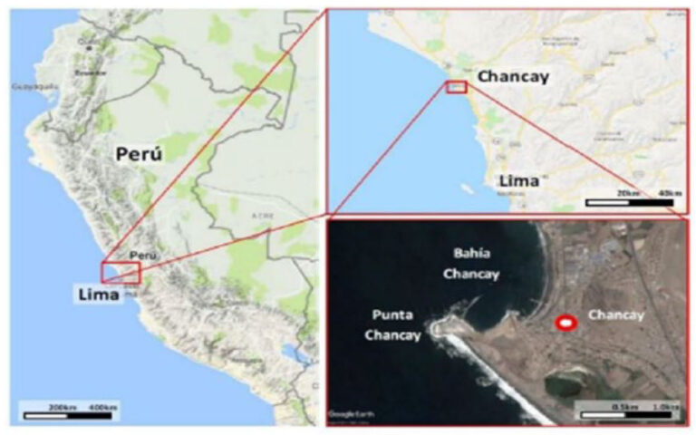 The Chancay Megaport: Challenges for Establishing a Sustainable ...