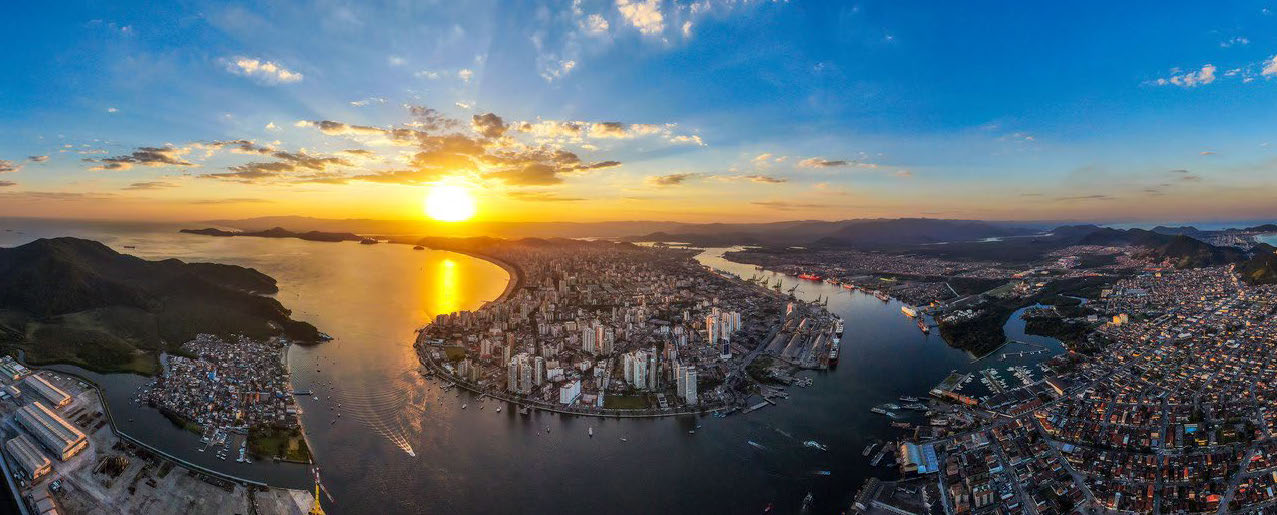 The Port of Santos in the View of the Syndicate of Port Operators of ...